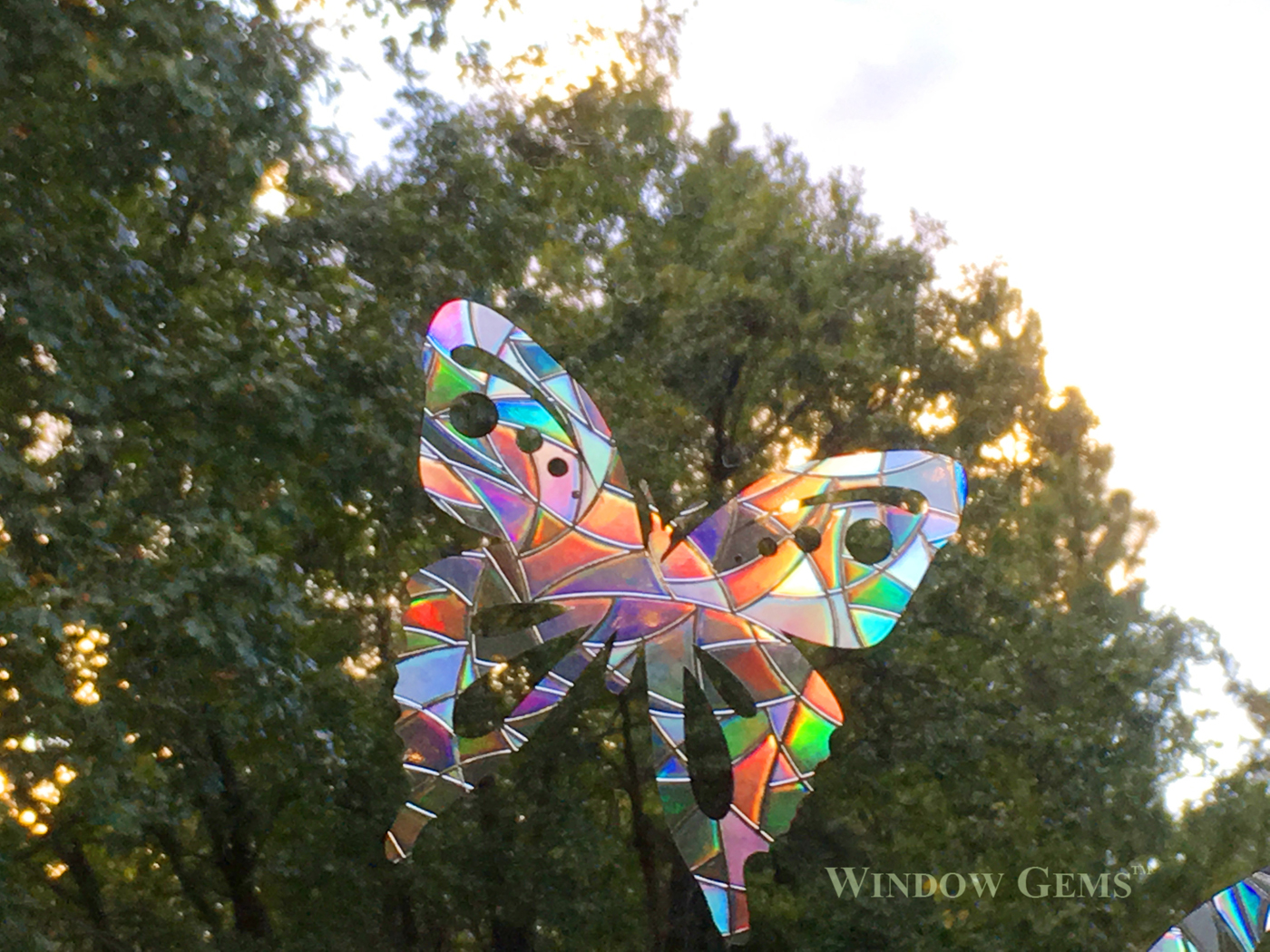 Butterfly Window Gems – Window Gems